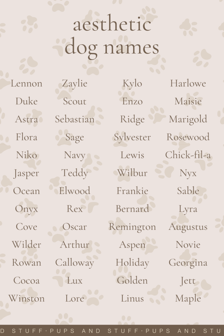 The Most Aesthetic Dog Names for Picture-Perfect Pups – pupsandstuff.co