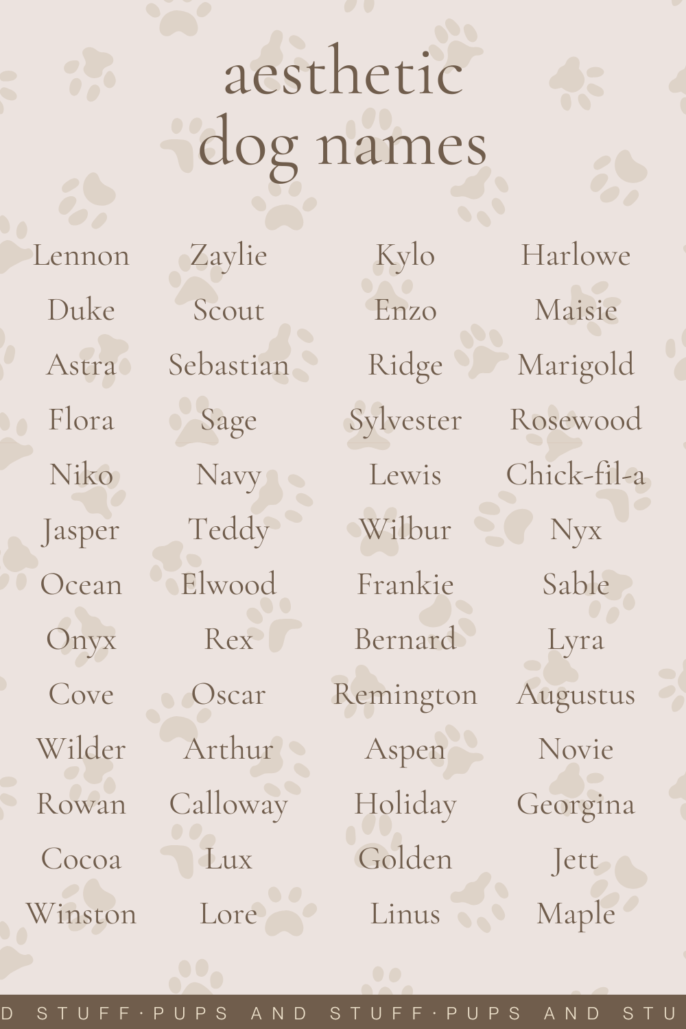 The Most Aesthetic Dog Names for Picture-Perfect Pups – pupsandstuff.co